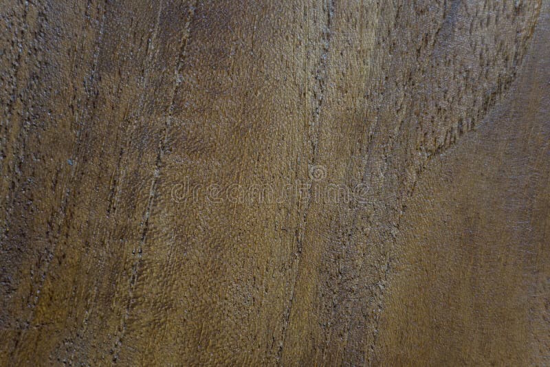 The Abstract Surface of the Slick Wood in Medium Light for a Background ...