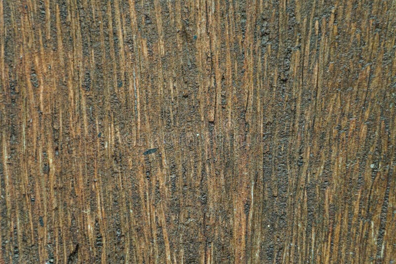 The Abstract Surface of the Slick Wood Stock Image - Image of dirty ...