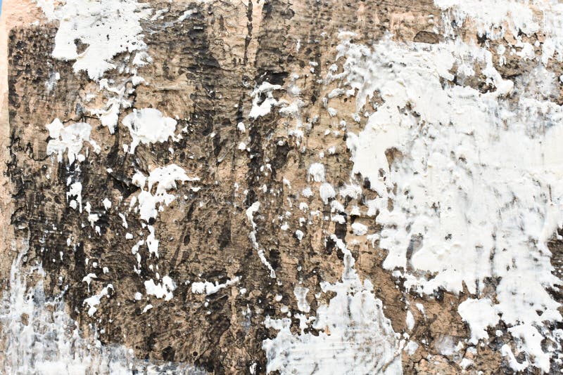 Abstract Surfaces are Dirty and Scratched Frames, the Use of Dust and ...