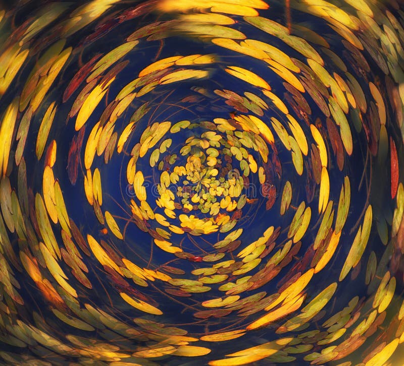 Abstract Swirled Background of Nature Stock Image - Image of landscape ...