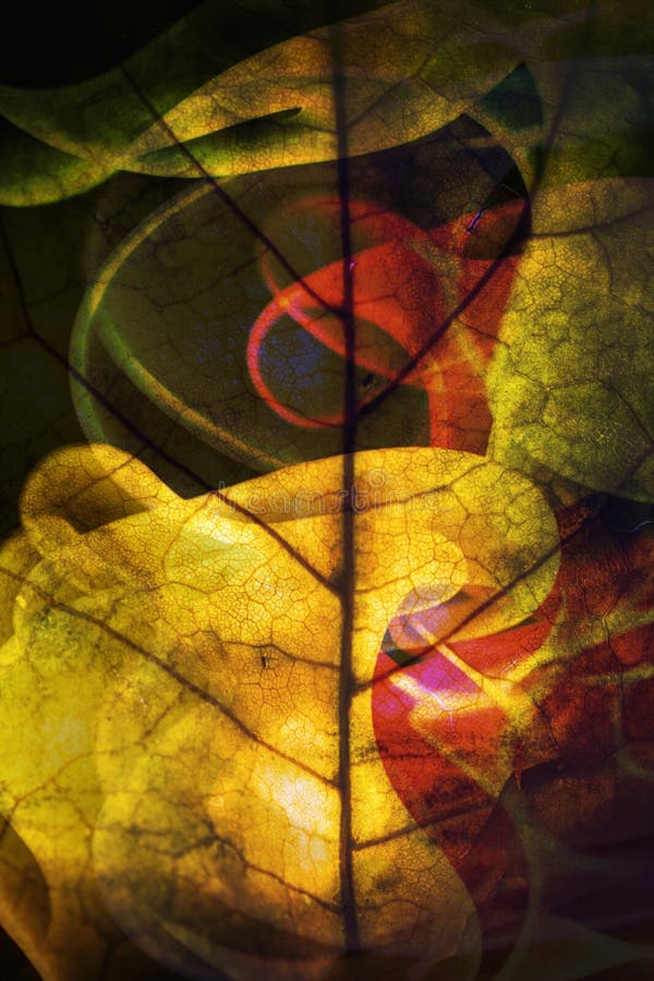 Abstract Swirls and Autumn Leaves Background Design Stock Photo - Image ...