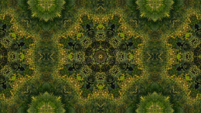 Abstract Swirly Texture Motion Background Seamless Looping Fractal ...