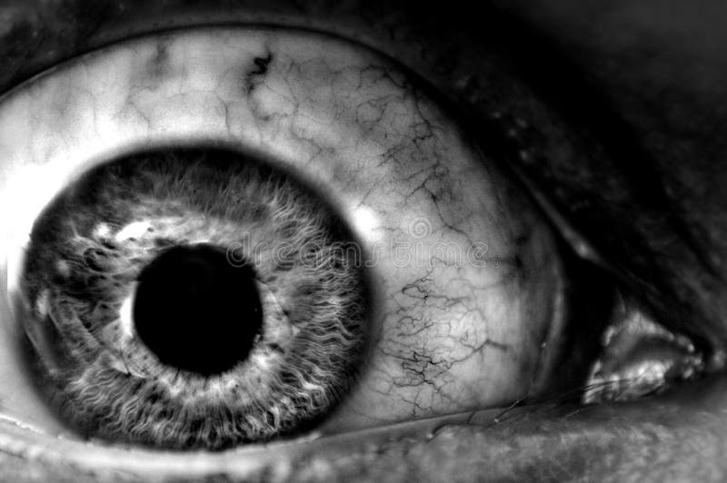 Abstract Terror Eyeball Closeup Stock Photo - Image of phobia, horror ...