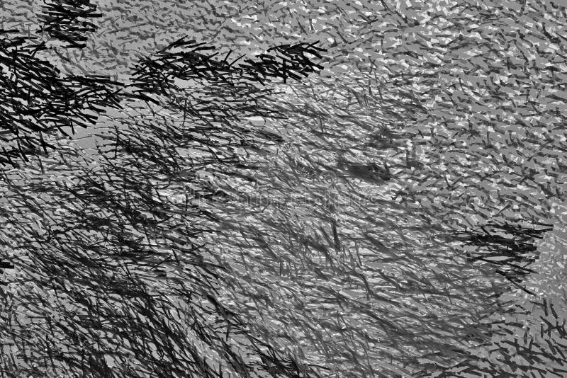 Abstract Texture and Background from Gray Tapes Stock Photo - Image of ...