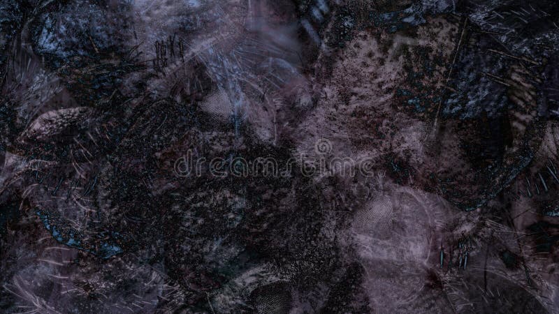 Abstract Texture Background Insect Material Surface Digital ...