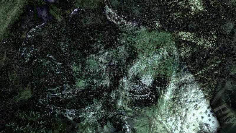 Abstract Texture Background Insect Material Surface Digital ...