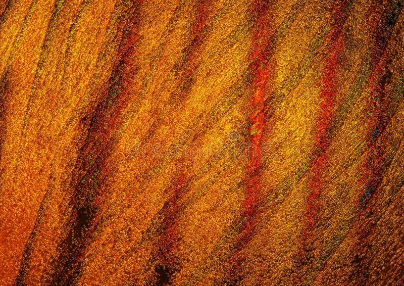 Brown Abstract Texture Background , Pattern Backdrop of Gradient ...