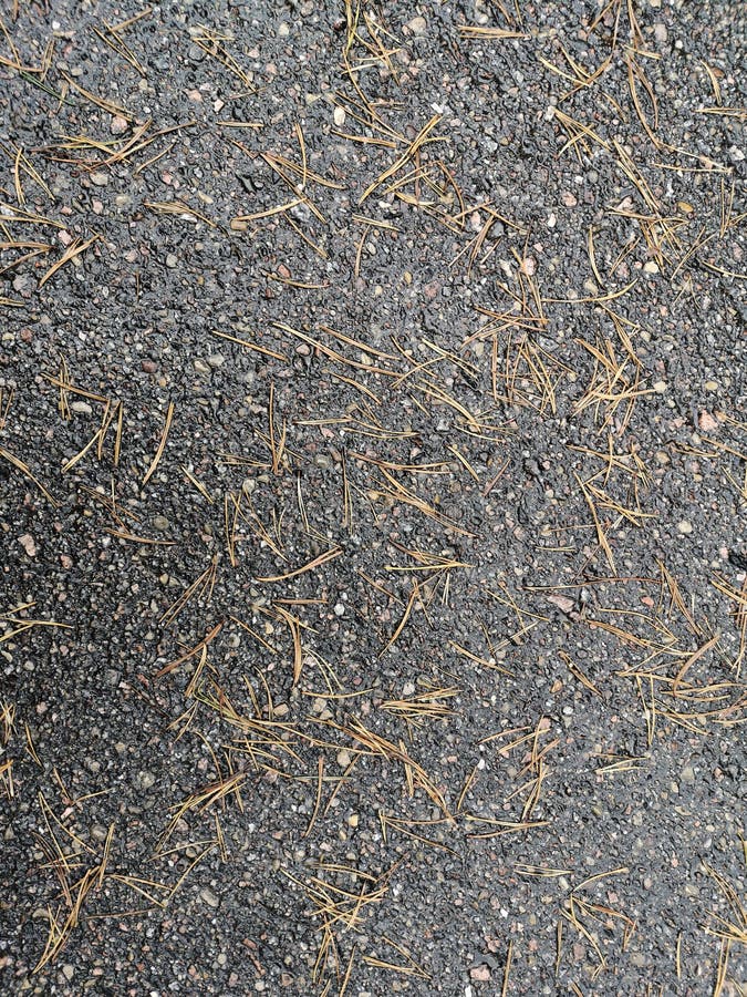 Abstract Texture in Cold Colors of Forest Elements Stock Image - Image ...