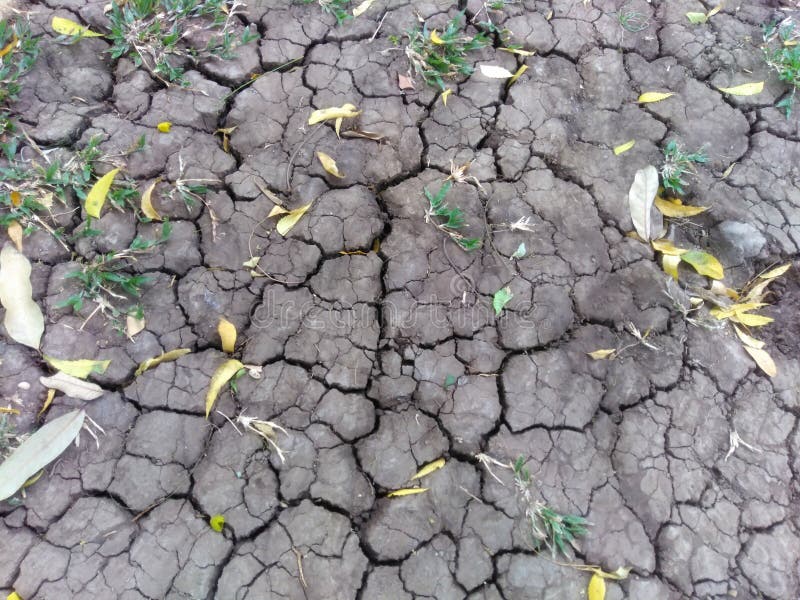 Abstract Texture of Dry and Cracked Land Stock Photo - Image of ...