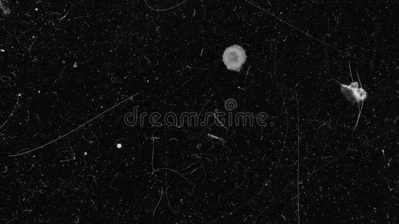 Edged Blotches Stock Illustrations – 7 Edged Blotches Stock ...