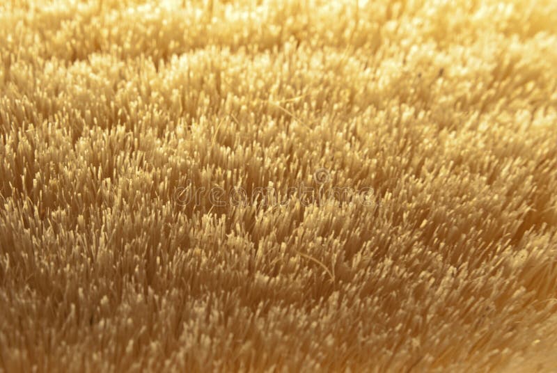 Abstract texture stock image. Image of grass, food, crop - 35423553