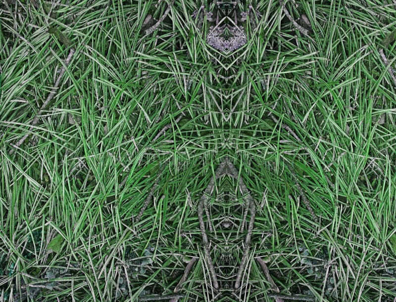 Abstract Texture of Forest Elements Stock Photo - Image of background ...