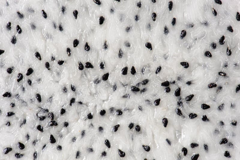 Abstract Texture of Fruit, Dragon Fruit Stock Image - Image of eating ...