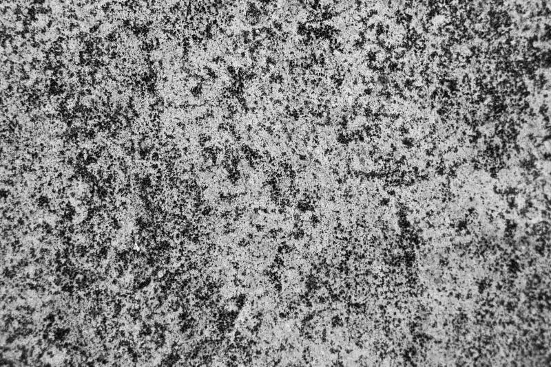 Abstract Texture of Gray with Black Spots of Various Sizes_ Stock Photo ...