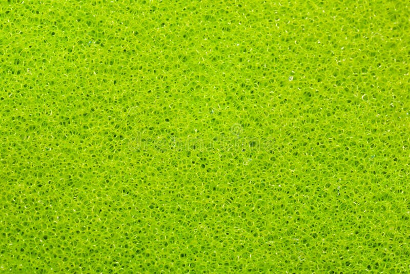 Abstract Texture of Green Wave Sponge Use for Background or Backdrop ...