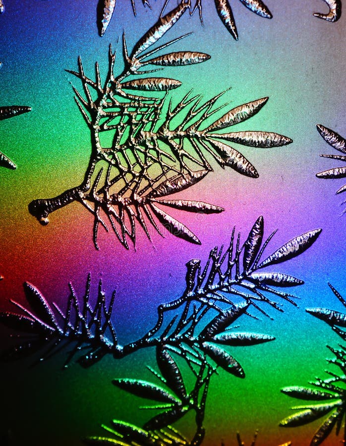 Abstract texture of leaf stock photo. Image of blurred - 110251890