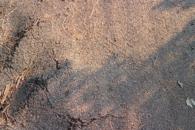 Abstract Texture Light and Shadow from the Morning Sun on the Road ...