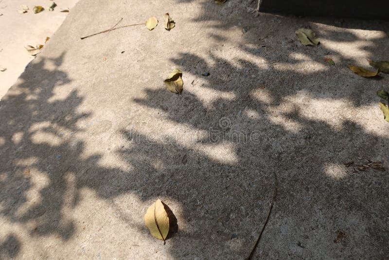 Abstract Texture Light and Shadow from the Morning Sun on the Road ...