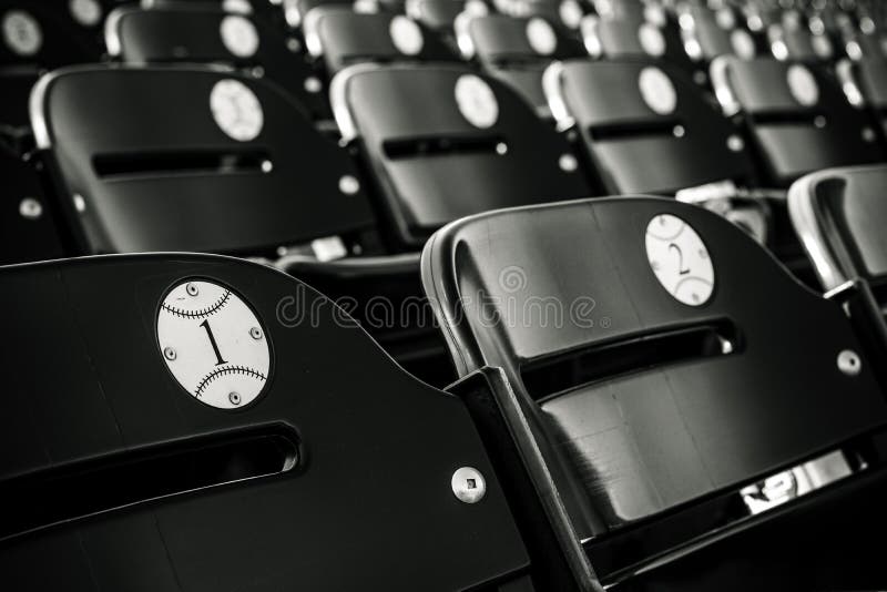 Stadium Seating Picture. Image: 790504