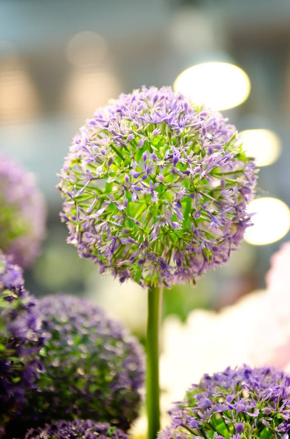 Abstract Texture of Plastic Flowers Stock Photo - Image of ecology ...