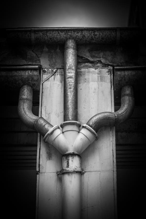 Abstract stock photo. Image of tree, repetition, guideline - 103149850