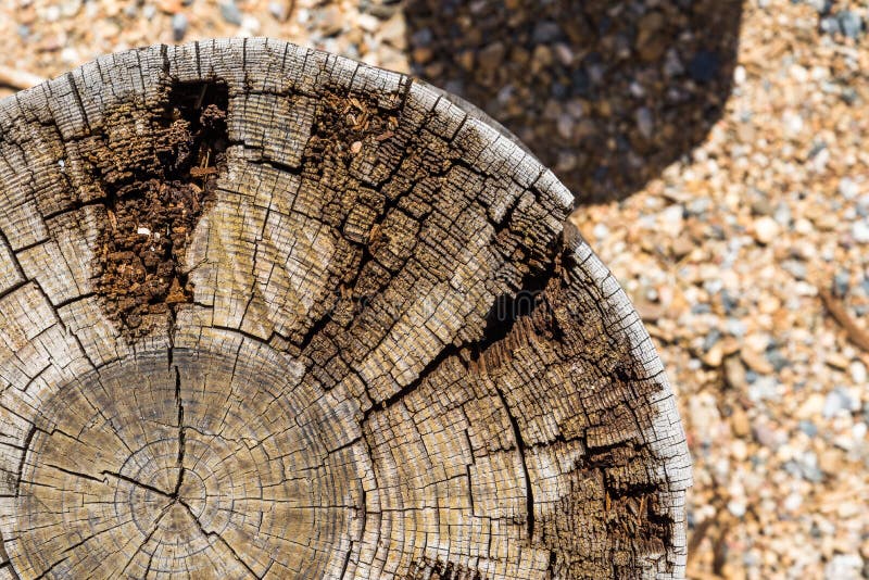 Abstract stock image. Image of aquamarine, airs, repetition - 93957447