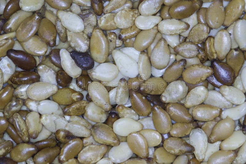 Abstract Texture of Sesame Seeds Stock Image - Image of material ...