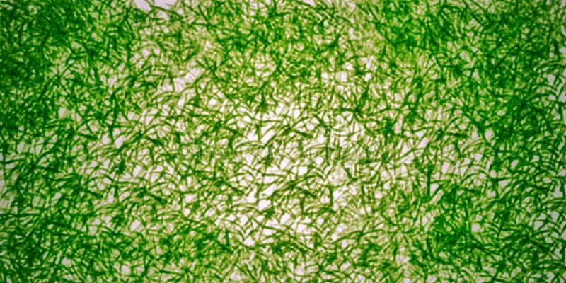 Abstract Texture Spotted Pattern Painting Blurred Green Color ...