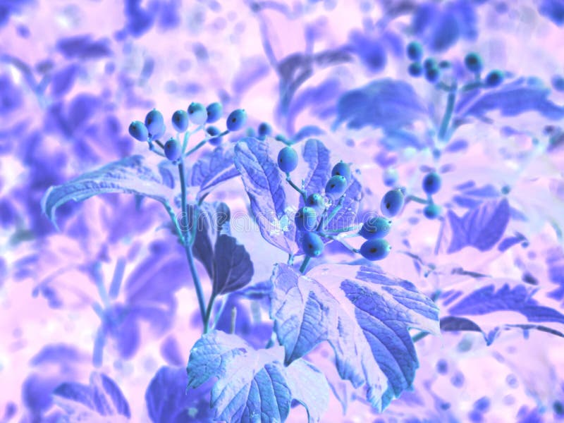 Abstract Texture with Strong Neon Glow Stock Photo - Image of light ...