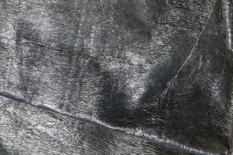 Abstract Texture of Tar Paper Under the Sun Stock Image - Image of ...