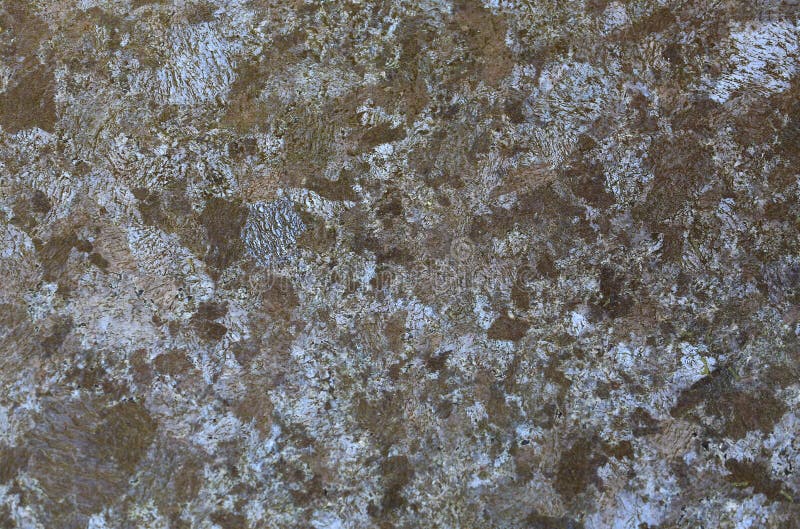 Abstract Texture of Tile in the Pond Stock Photo - Image of rock, wall ...