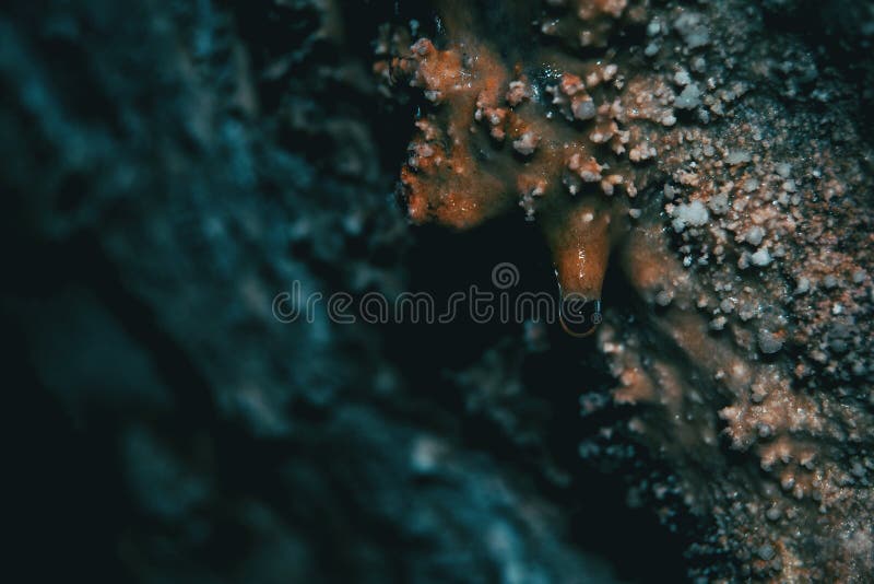 Abstract Texture of Wet Stone from Inside Cave Stock Image - Image of ...