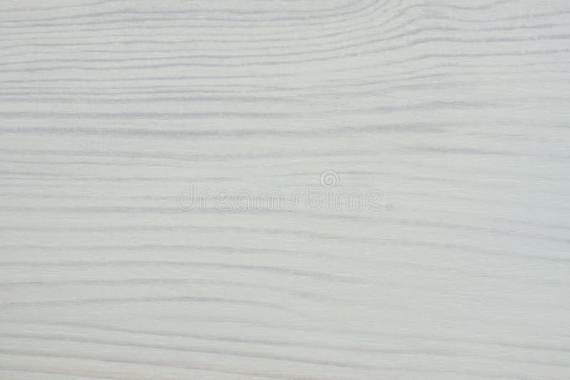 Abstract Texture of a White Tree Stock Image - Image of abstract ...