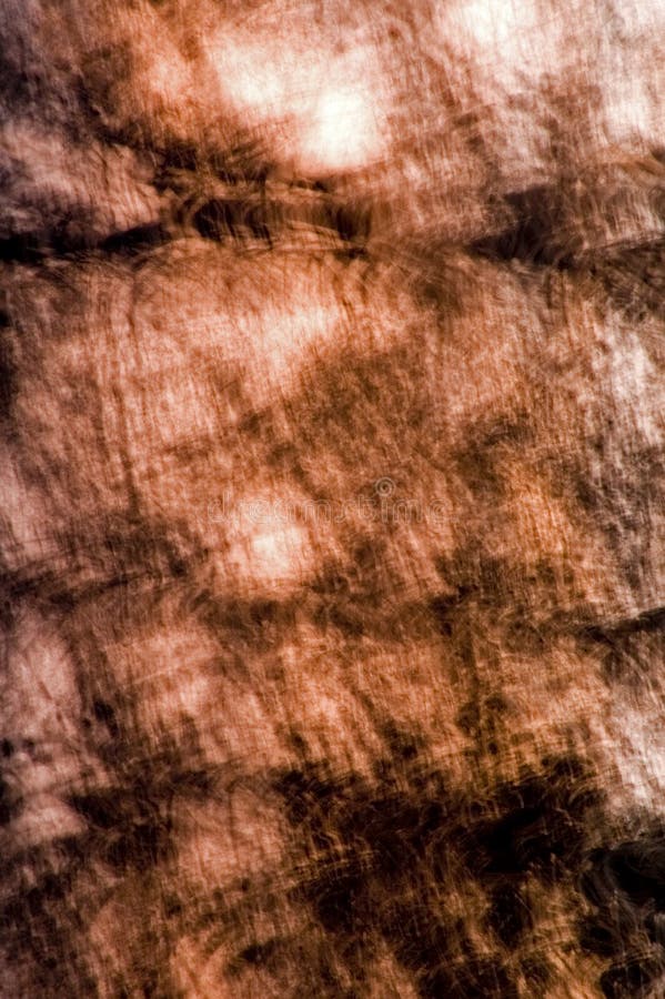 Abstract Textured Background Picture. Image: 703999