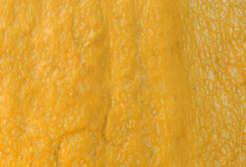 Pumpkin skin texture stock image. Image of harvest, colorful - 11458271