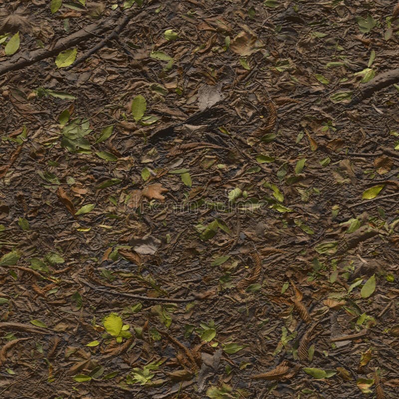 Abstract Textured Background with Wet Leaf Litter. Leafy Streambed ...