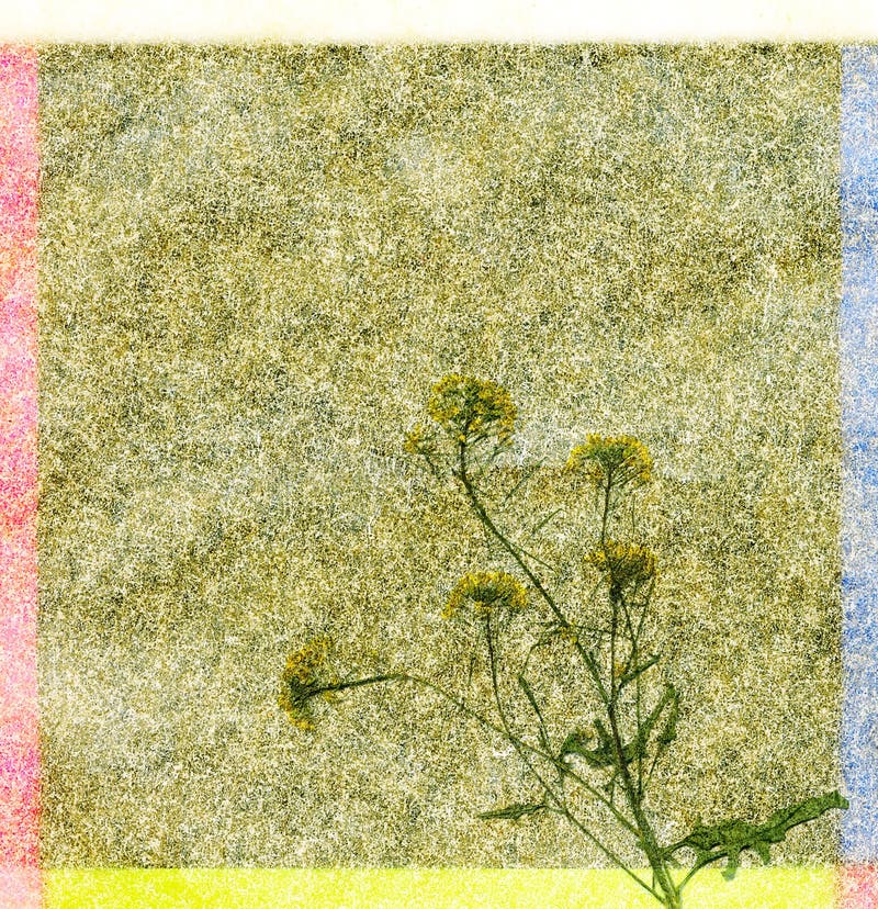 Abstract textured square stock photo. Image of decorative - 13298082