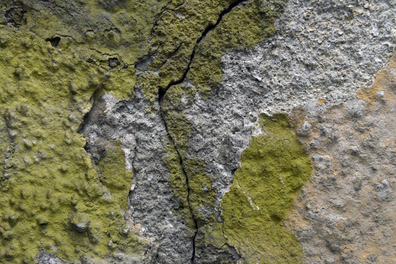 Abstract Textures Extreme Surface Background Closeup Stock Image ...