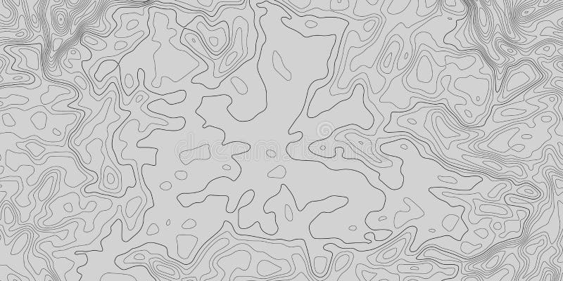 Abstract Topographic Background. Geographic Grid Map. Topographic Lines ...