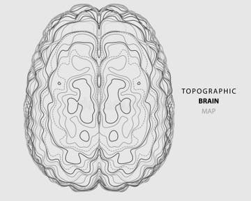Abstract Topographic Map of Human Brain. Conceptual of Creative and ...