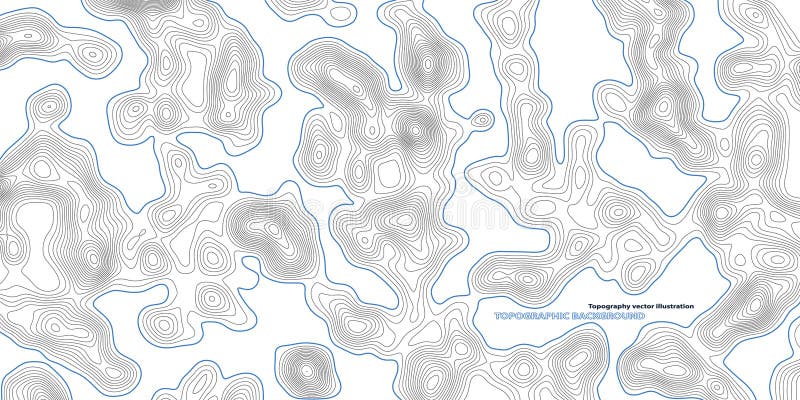 Abstract Topographic Map from Lines Isolated. Topographic Lines Contour ...