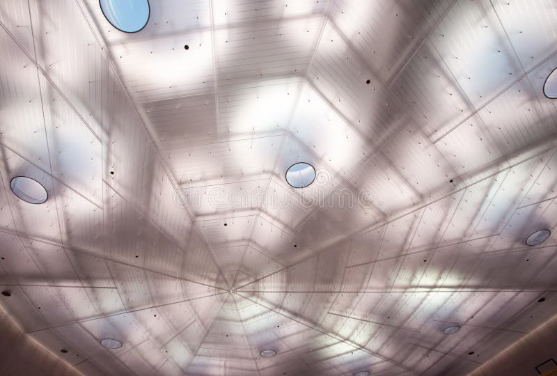 Spider Inside a Spider Web stock image. Image of insect - 82415715