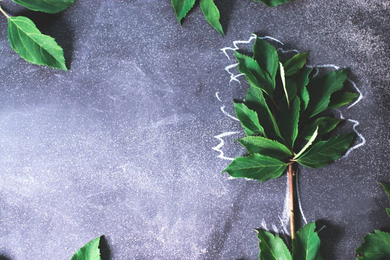 Abstract Tree on a Black Background Concept. Stock Image - Image of ...