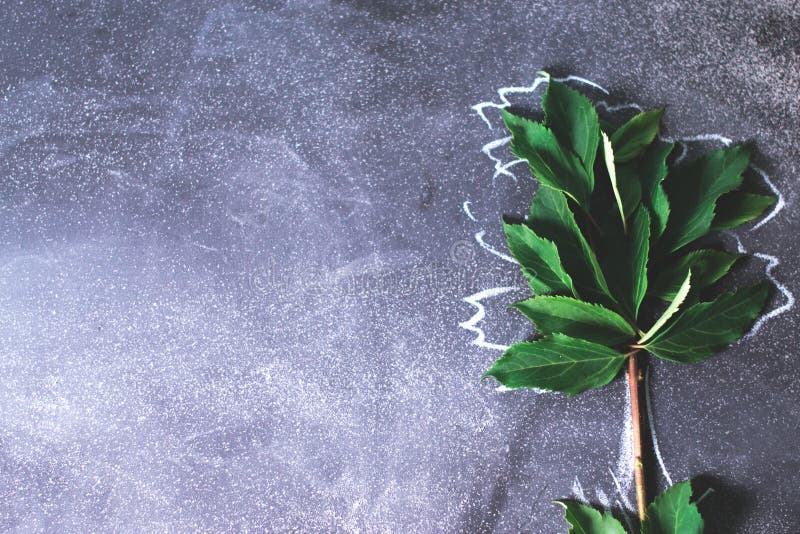 Abstract Tree on a Black Background Concept. Stock Image - Image of ...