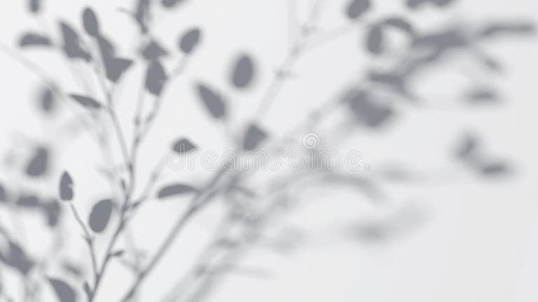 Fall Tree Backdrop Stock Illustrations – 30,524 Fall Tree Backdrop ...