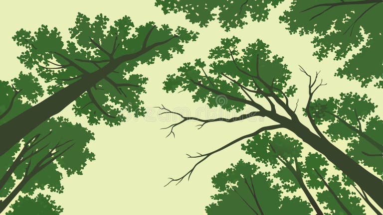 Abstract Tree Canopy View, Nature S Organic Patterns, Vector Design ...