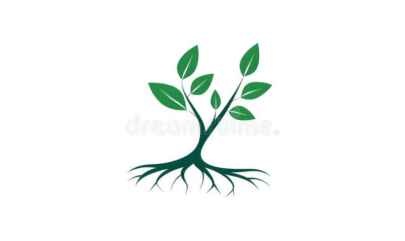 Abstract Tree with Green Leaves and Roots Representing Growth, Nature ...