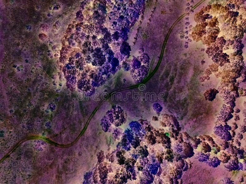 Abstract Tree Pattern in Nature Stock Photo - Image of abstract ...