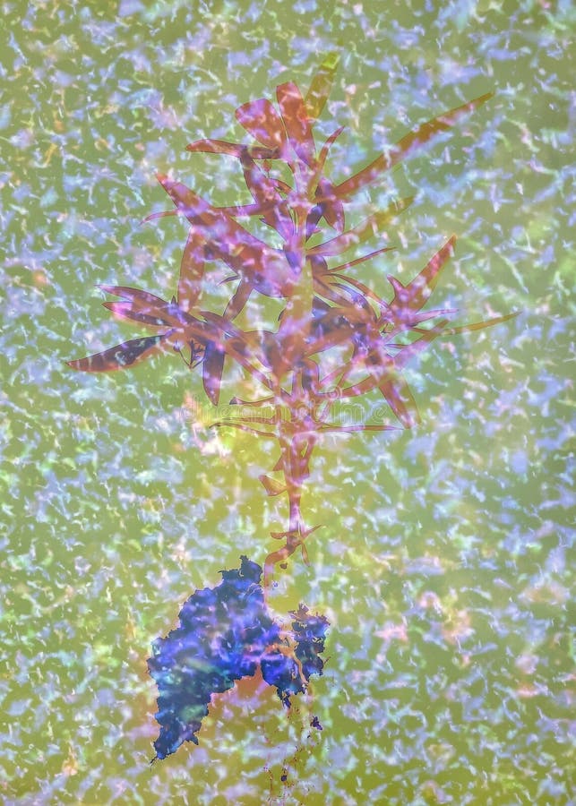 Abstract Tree Plants and Roots. Glittering Festive Foreground Texture ...