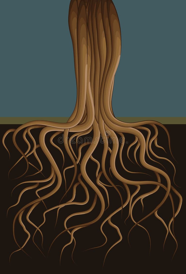 Long Root Tree Vector Stock Illustrations – 204 Long Root Tree Vector ...